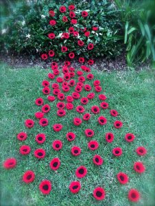 13 Free Poppy Knitting Patterns - Knit-Knit