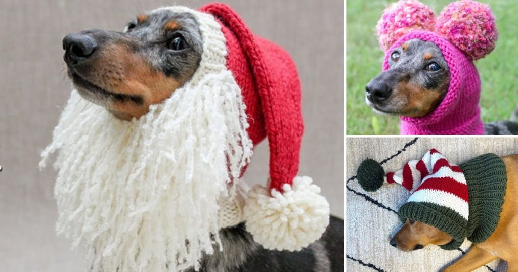 12 Free Knitted Dog Hat Patterns - Knit-Knit