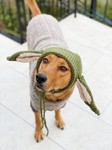 12 Free Knitted Dog Hat Patterns - Knit-Knit