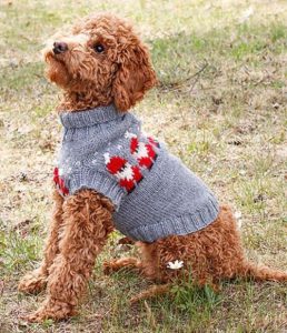 11 Free Dog Coat Knitting Patterns - Knit-Knit